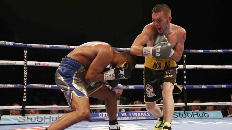 HOBSON SIGNS WALE - The Fight Scene